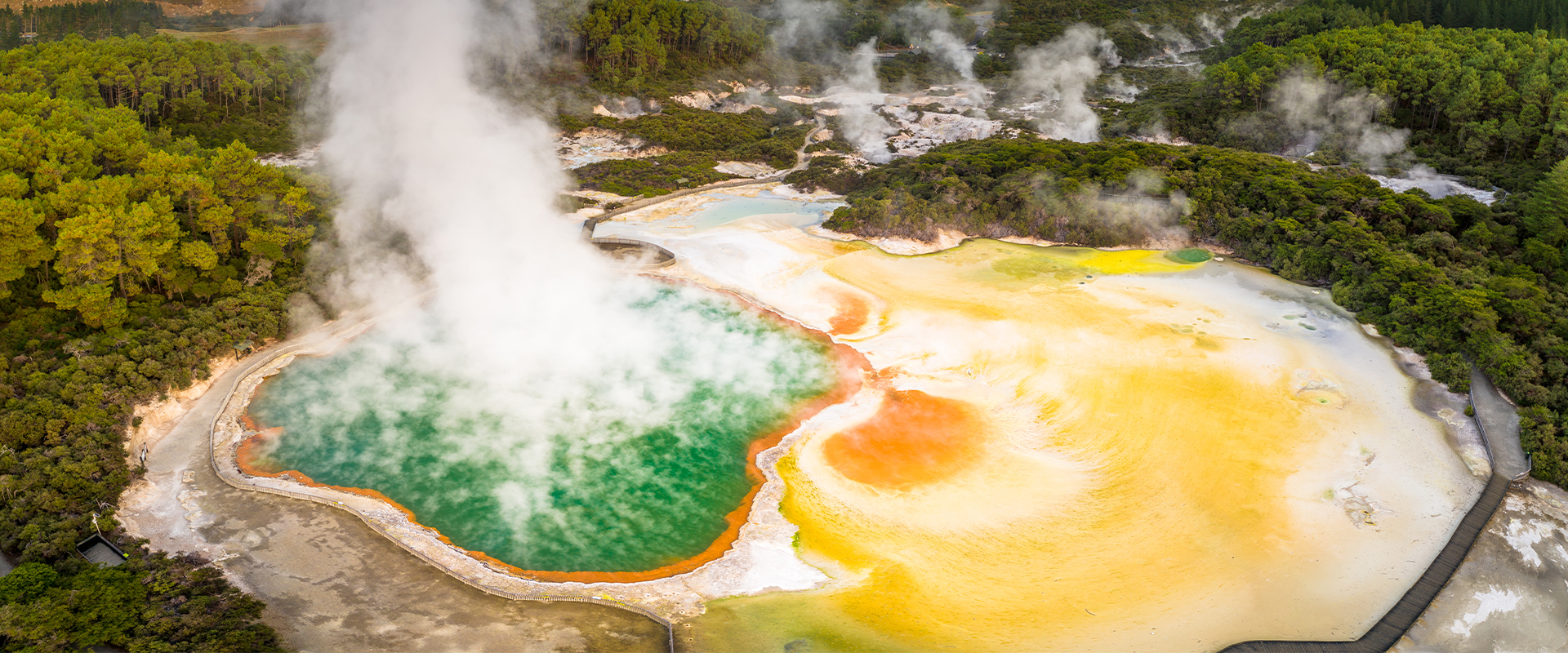 Latest Offers & Packages | Jet Park Hotel Rotorua